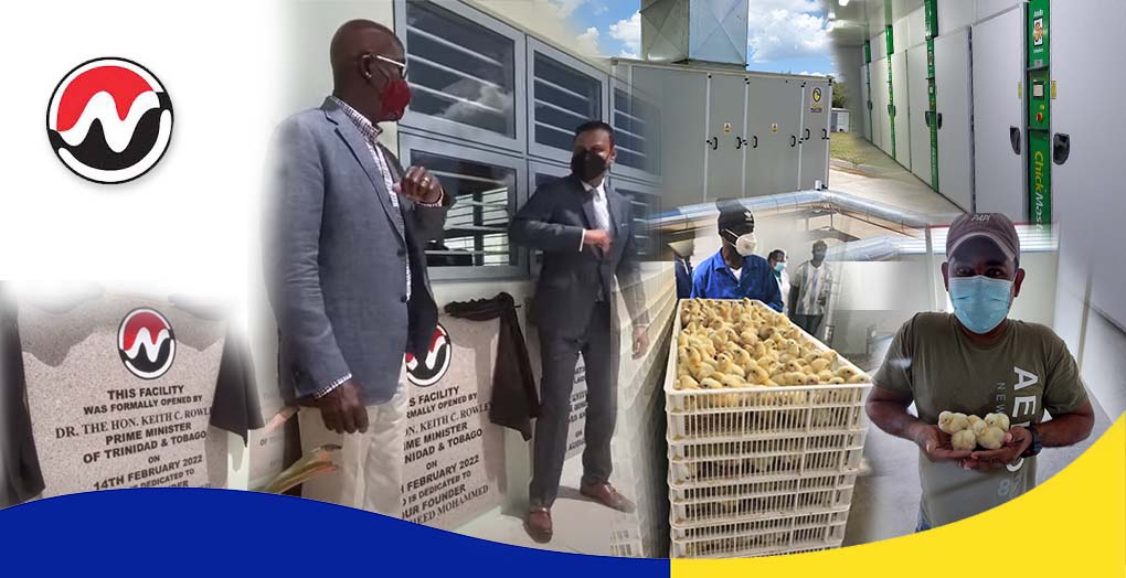 Nutramix DR-Recuperado | Incubadora Jamesway Chick Master