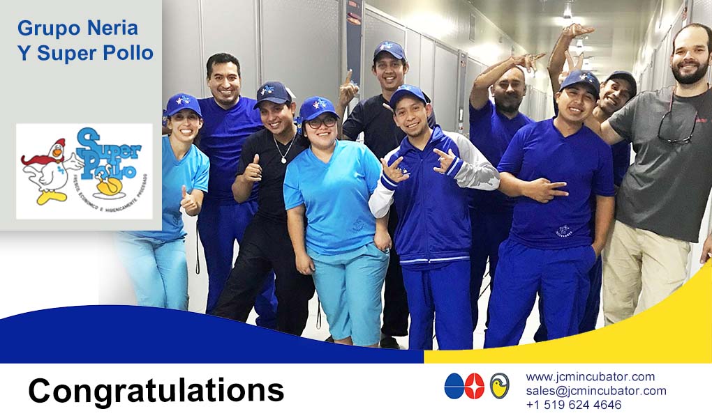 Super Pollo Mexique | Incubateur Jamesway Chick Master